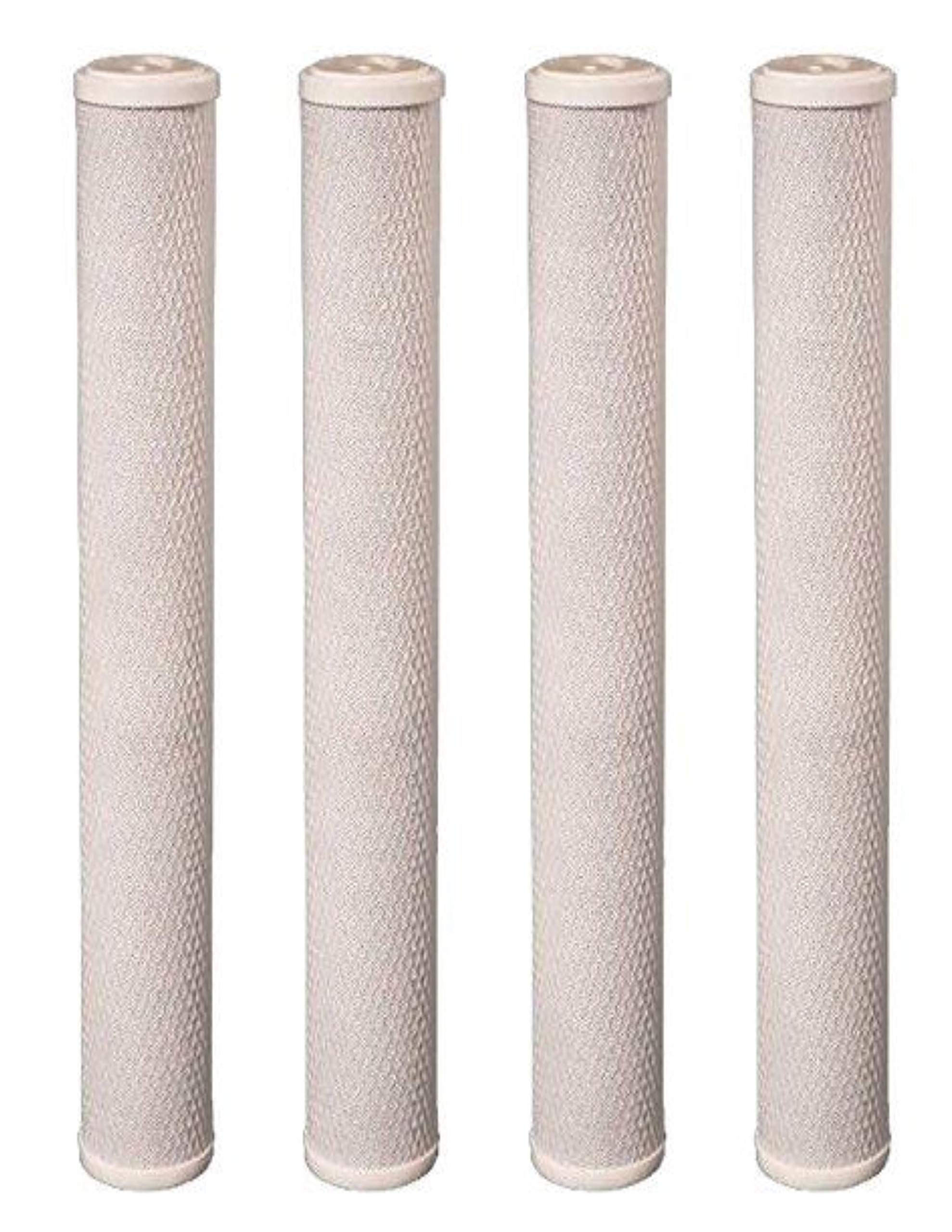 CFS – 4 Pack Carbon Block Water Filters Cartridge Compatible with C1-20 Models – Remove Bad Taste & Odor – Whole House Replacement Water Filter Cartridge, 5 micron - 20" x 2-1/2", White