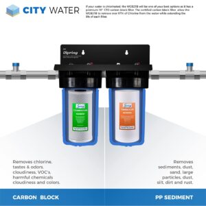 iSpring F2WGB21B Whole House 4.5"x10" Water Filtration Big Blue High Capacity Sediment and CTO Carbon Block Water Filter Replacement Cartridge Pack Set for WGB21B