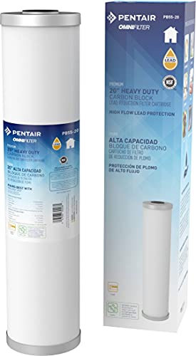 Pentair OMNIFilter PB55-20 Carbon Water Filter, 20-Inch, Whole House Premium Heavy Duty Carbon Block Lead Reduction Replacement Cartridge, 20" x 4.5", 0.5 Micron