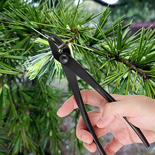 DEWIN Bonsai Pliers - Jin Pliers, Manganese Steel Alloy Bonsai Wire Plier with Round End, for Safe Use Gardening Tool Bonsai Tools