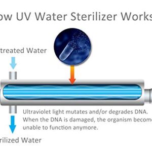 HQUA-TWS-12 Ultraviolet Water Purifier Sterilizer Filter for Whole House Water Purification,12GPM 120V, 1 Extra UV Lamp + 1 Extra Quartz Sleeve