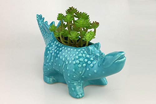 VanEnjoy 12 inches Cute Cartoon Dinosaur Ceramic Succulent Planter, Water Culture Hydroponics Bonsai Cactus Flower Pot,Air Plant Vase Holder Desktop Decorative Organizer (Stegosaurus, Blue)