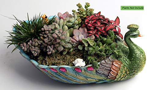 Succulents Planter Plants Pot Handmade 9.4 Inch Peacock Pot Resin Base Large Flowers Pot/Succulent Cactus pots/Container/with Hole for Home Garden Office Desktop Decoration Idea