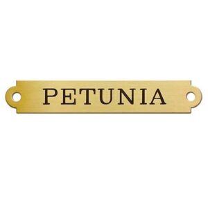 halter plate xlarge thick notched brass or nickel silver i.d. plate .050" thick custom engraved