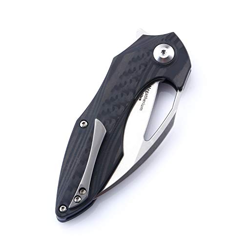 Kizer Minitherium Linerlock