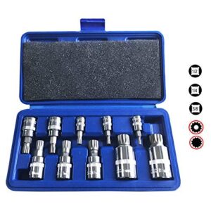 XZN Triple Square Spline Bit Socket Set 12 Point Tamper Proof 1/2 1/4 and 3/8 Inch Drive,4mm-18mm,S2 Steel,10 Pieces