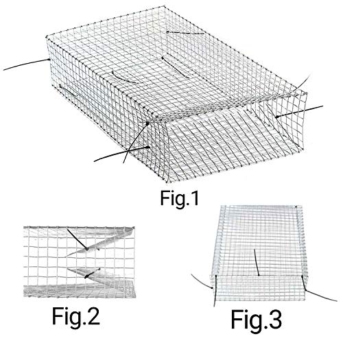 AmazingTraps The Amazing Humane Snake Trap - Catches and Release All Kinds of Snakes - Reusable!