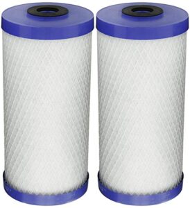 pentek ep-bb carbon block filter cartridge, 9-3/4" x 4-5/8", 5 microns (pack of 2)