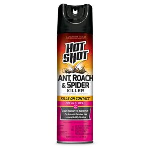 hot shot ant, roach & spider killer, kills insects indoors and outdoors, kills roaches and listed ants on contact, insecticide spray, 17.5 ounce