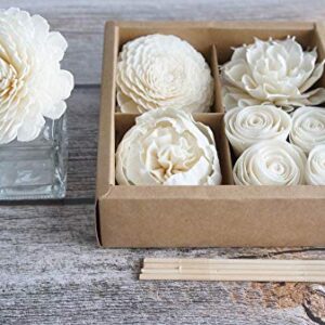 Mixed White Sola Flower with Cotton Wick Diffuser Set Replacement for Home Fragrance by Plawanature