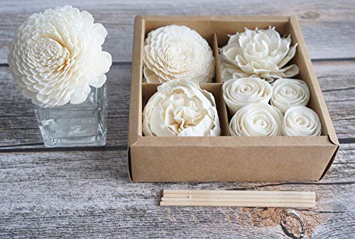 Mixed White Sola Flower with Cotton Wick Diffuser Set Replacement for Home Fragrance by Plawanature