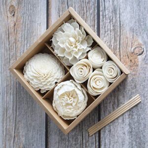 Mixed White Sola Flower with Cotton Wick Diffuser Set Replacement for Home Fragrance by Plawanature