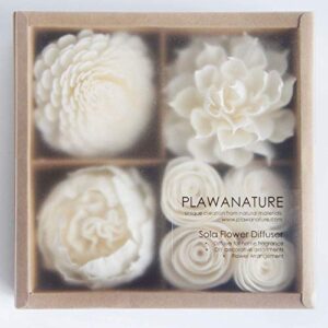 Mixed White Sola Flower with Cotton Wick Diffuser Set Replacement for Home Fragrance by Plawanature