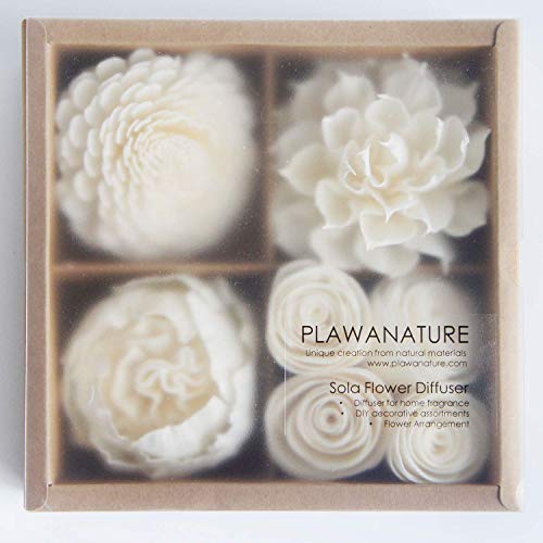 Mixed White Sola Flower with Cotton Wick Diffuser Set Replacement for Home Fragrance by Plawanature