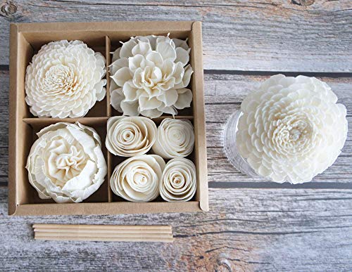 Mixed White Sola Flower with Cotton Wick Diffuser Set Replacement for Home Fragrance by Plawanature