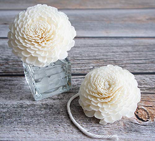 Mixed White Sola Flower with Cotton Wick Diffuser Set Replacement for Home Fragrance by Plawanature