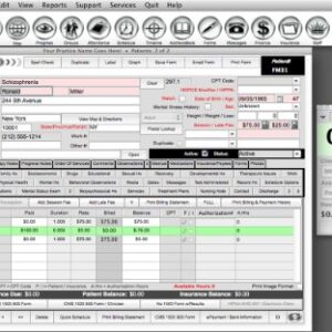 Mental Health Management Software - PsychReport (MAC/WIN) / 2 Users / Windows Server