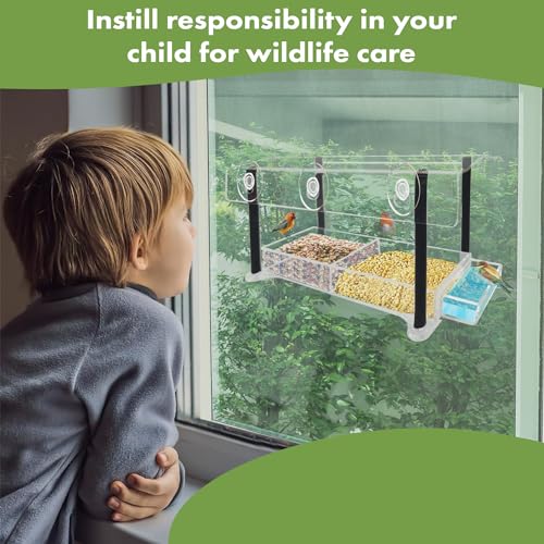 Window Bird Feeder for Outside - Squirrel and Weather Proof Clear Birdfeeder Hanger - Big Strong Suction Cups - Refill Sliding Tray - Best Birdhouse Cat Gift - Mount For Finch Cardinal Blue Jay Crow