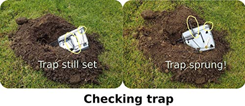 LASSO TRAP Gopher (Large) Trap (Pack of 2) Galvanized and Oil-Hardened Steel Lasso Trap/Super Cost Effective Reusable & Durable Animal Trap Best in The Lawn, Yard, Garden, Farm, & All Outdoor Setting