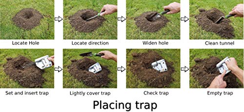 LASSO TRAP Gopher (Large) Trap (Pack of 2) Galvanized and Oil-Hardened Steel Lasso Trap/Super Cost Effective Reusable & Durable Animal Trap Best in The Lawn, Yard, Garden, Farm, & All Outdoor Setting