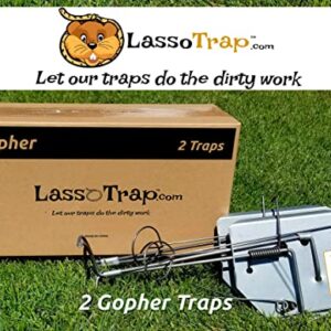 LASSO TRAP Gopher (Large) Trap (Pack of 2) Galvanized and Oil-Hardened Steel Lasso Trap/Super Cost Effective Reusable & Durable Animal Trap Best in The Lawn, Yard, Garden, Farm, & All Outdoor Setting