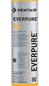 Everpure EV9601-00 4C Cartridge (Pack of 2)