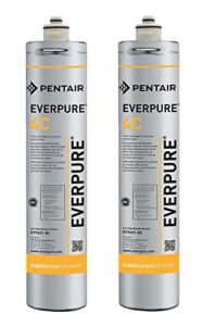 everpure ev9601-00 4c cartridge (pack of 2)