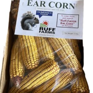 Ruff Farms Squirrel Corn - Approx. 12 lbs., 24 Ears