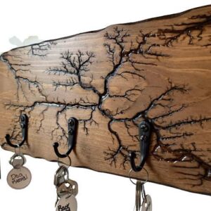 fractal lichtenburg key holder or coat rack