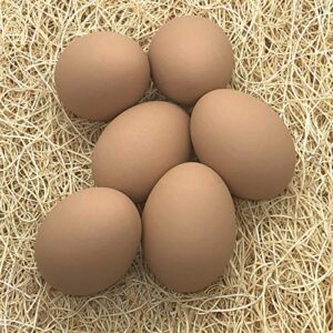 Ceramic Nest Eggs - Brown