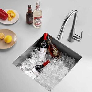 Bar Sink, TORVA 22.5 inch Undermount 16 Gauge Single Bowl Stainless Steel Kitchen Sink, Bar or Prep Sink