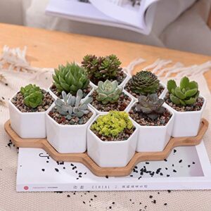 zamtac set of 9 hexagon flowerpots white ceramic succulent plant pot with bamboo stand bonsai planter home decor ornament