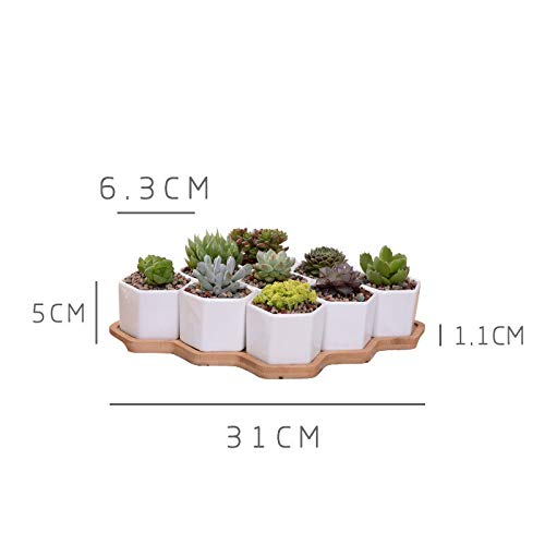 Zamtac Set of 9 Hexagon Flowerpots White Ceramic Succulent Plant Pot with Bamboo Stand Bonsai Planter Home Decor Ornament