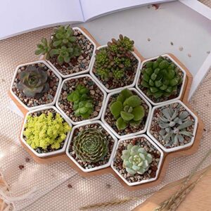 Zamtac Set of 10 Hexagon Flowerpots White Ceramic Succulent Plant Pot with Bamboo Stand Bonsai Planter Garden Supply