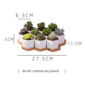 Zamtac Set of 10 Hexagon Flowerpots White Ceramic Succulent Plant Pot with Bamboo Stand Bonsai Planter Garden Supply