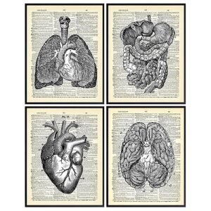 heart, lungs, brain, intestine anatomy organs - upcycled dictionary wall art prints for medical clinic, office - 8x10 vintage steampunk goth decor set - gift for doctor, nurse, med school, student