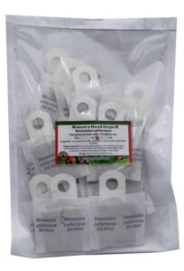 neoseiulus californicus 25 sachets with 250 mites