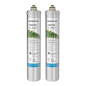 pentair everpure h-300 undersink water filter replacement cartridge (2 pack)