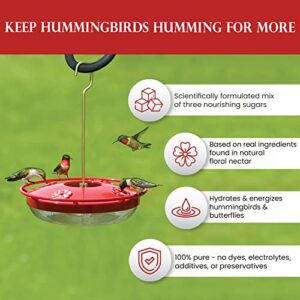 Hummingbird Market Hummingbird Nectar - Clear Powder w/ 3 Hydrating & Energizing Sugars, 5 Lb