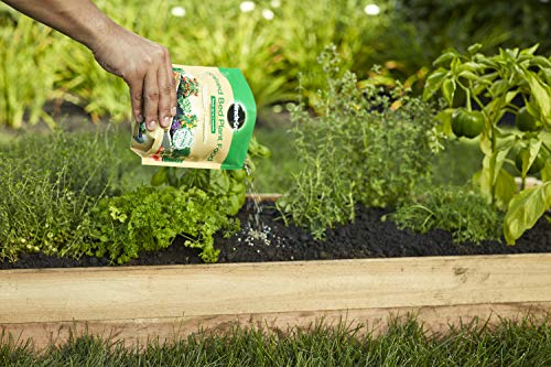 Miracle-Gro Raised Bed Plant Food, 2-Pound