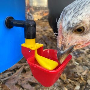 Backyard Barnyard 4 Pack NO PECK Poultry Cup Waterer Drinker for Chicken Ducks Quail (Hardware Included) Chooks Bebederos para Gallinas