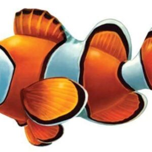 Clown Fish Porcelain Swimming Pool Mosaic (5" x 3")