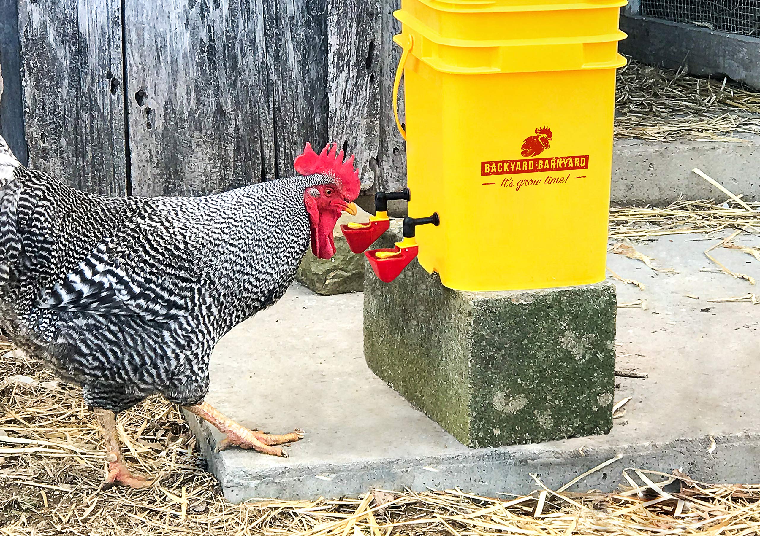 Backyard Barnyard 4 Pack NO PECK Poultry Cup Waterer Drinker for Chicken Ducks Quail (Hardware Included) Chooks Bebederos para Gallinas