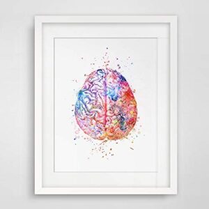 watercolor anatomy brain wall art decor anatomical brain vintage graphics art print wall hanging original design brain printed artwork 8x10 inch no frame