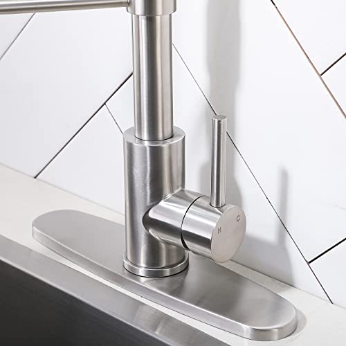 VCCUCINE Stainless Steel Kitchen Faucet, Farmhouse Kitchen Faucet with Pull Down Sprayer, Brushed Nickel Faucet for Kitchen Sink, Commercial Outdoor Single Handle Kitchen Sink Faucet