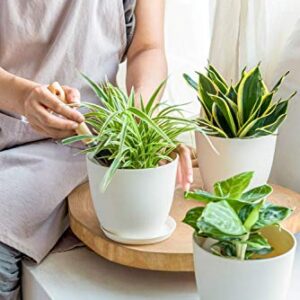 Mkono 6.5" Plastic Planters with Saucers, Indoor Set of 5 Flower Plant Pots Modern Decorative Gardening Pot with Drainage for All House Plants, Herbs, Foliage Plant, and Seeding Nursery, Cream White