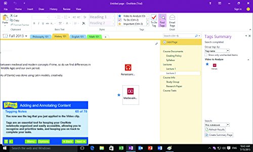 Professor Teaches Office 2016 [PC Download]