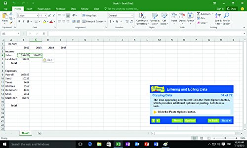 Professor Teaches Office 2016 [PC Download]