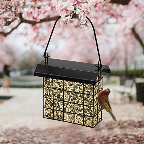 FORUP Suet Bird Feeder, Hanging Suet Feeder, Single Suet Cake Bird Feeder, One Suet Capacity