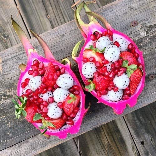 1214-Dragon Fruit, Mixed Red-White (Pitaya Blanca,roja) Seeds by Robsrareandgiantseeds UPC0764425788676 Non-GMO,Organic,Historic Plants, Bonsai, Tropical Fruit,Cactus, Betacyanins Package of 15 Seeds